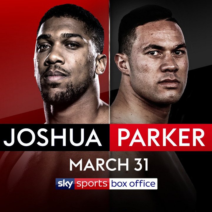 Joshua – Parker, finalizat | Magazin de ring